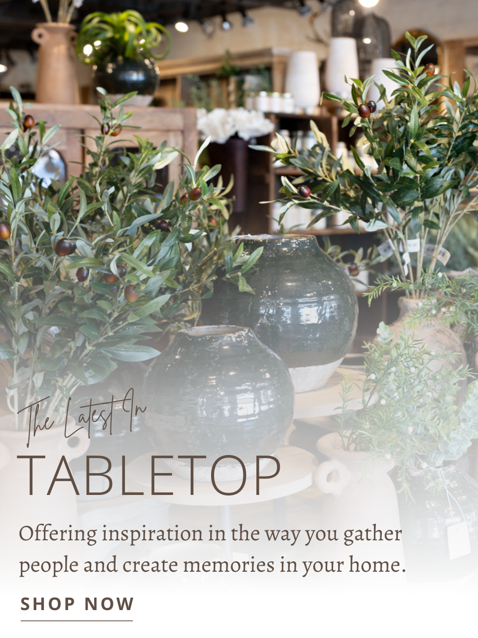 Dandy Home and Ranch | Home Decor, Clothing, and Gifts | Yuma, AZ ...