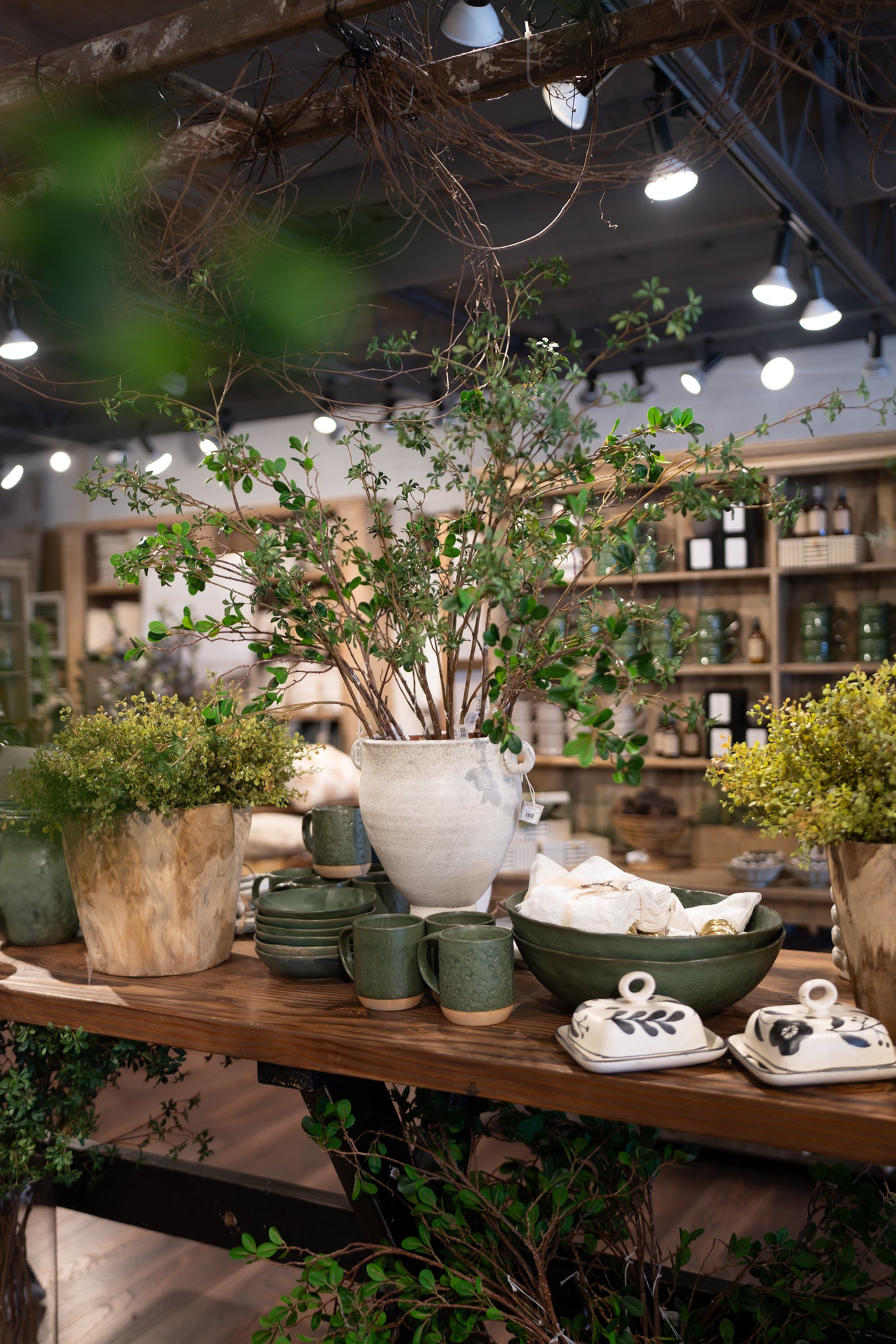 Dandy Home and Ranch | Home Decor, Clothing, and Gifts | Yuma, AZ ...