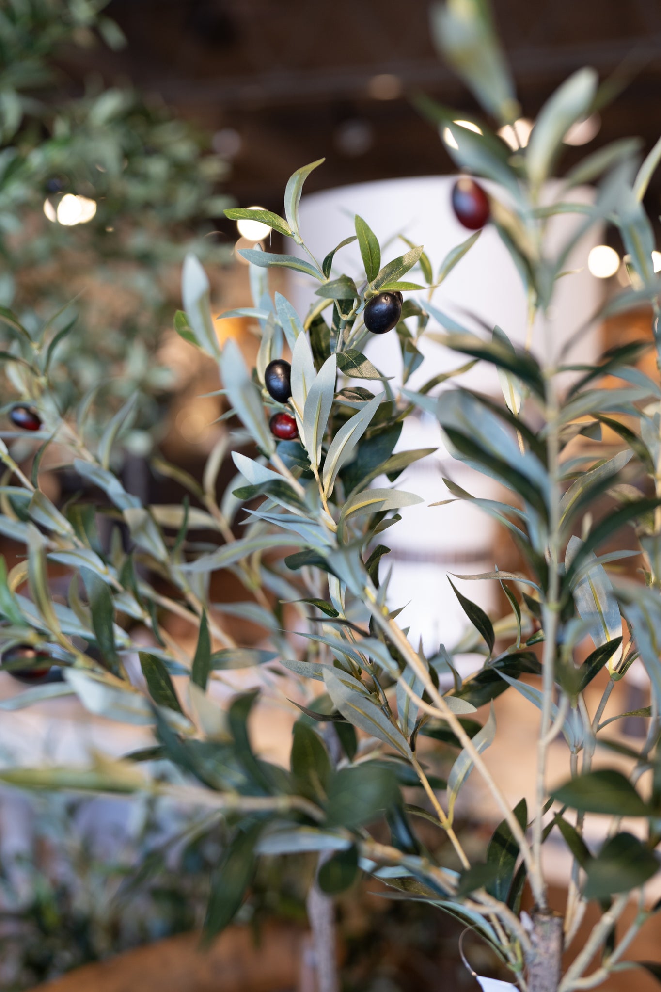 Dandy Home and Ranch | Home Decor, Clothing, and Gifts | Yuma, AZ ...
