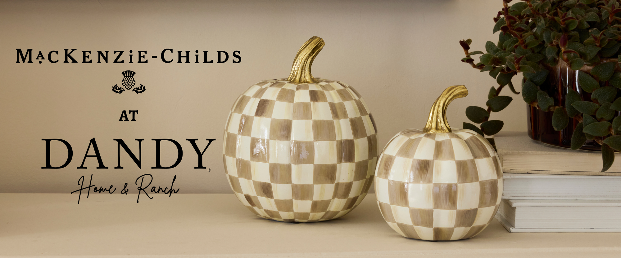 Dandy Home and Ranch | Home Decor, Clothing, and Gifts | Yuma, AZ ...
