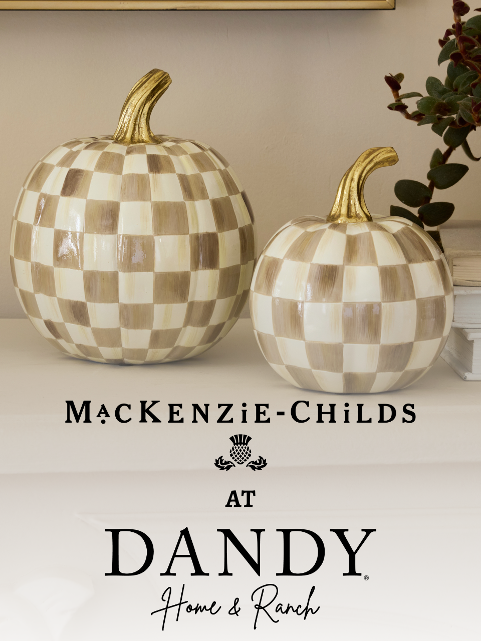 Dandy Home and Ranch | Home Decor, Clothing, and Gifts | Yuma, AZ ...