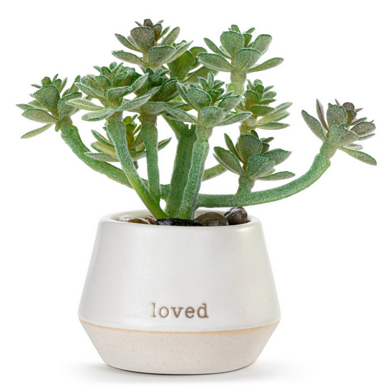 Dandy Home and Ranch | Home Decor, Clothing, and Gifts | Yuma, AZ ...