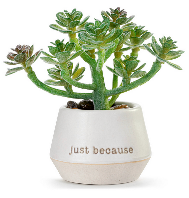 Dandy Home and Ranch | Home Decor, Clothing, and Gifts | Yuma, AZ ...