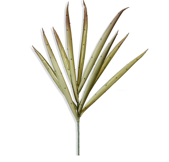 Yucca Stem Floral — Dandy Home & Ranch